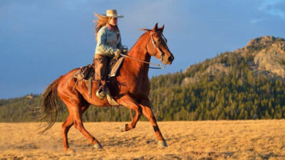 How To Calm Down A Horse | Tips For Calming Your Horses