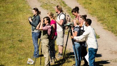 Top 10 Birding Equipment for Your Next Avian Adventure.