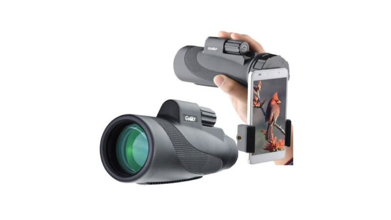 Top 10 Birding Equipment for Your Next Avian Adventure.