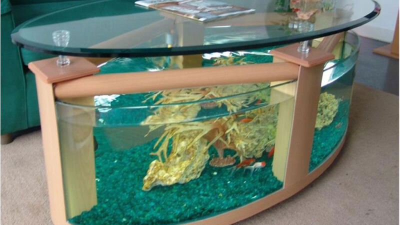 Best Fish Tanks That Will Make You Happy
