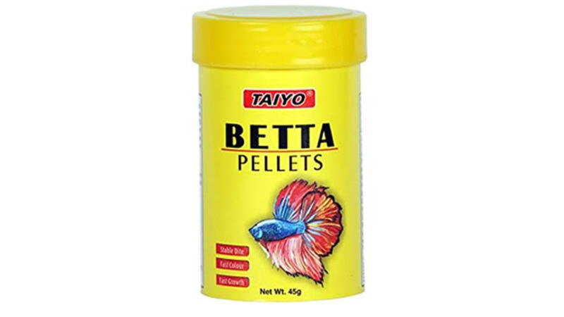 Best Betta Fish Food | Only the Finest for Your Pet