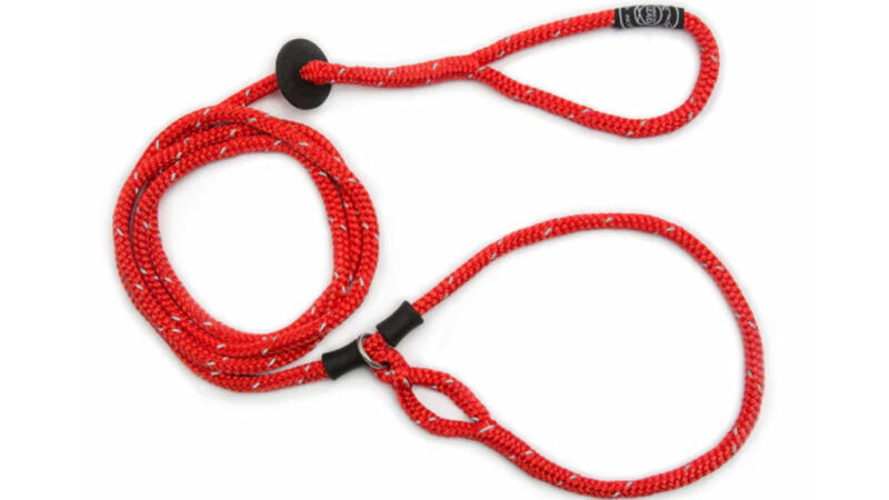 Keep your dog secure and comfortable on walks with the best dog harnes