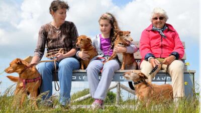 All You Need To Know About Your Favourite Pets | BetterPetsLife